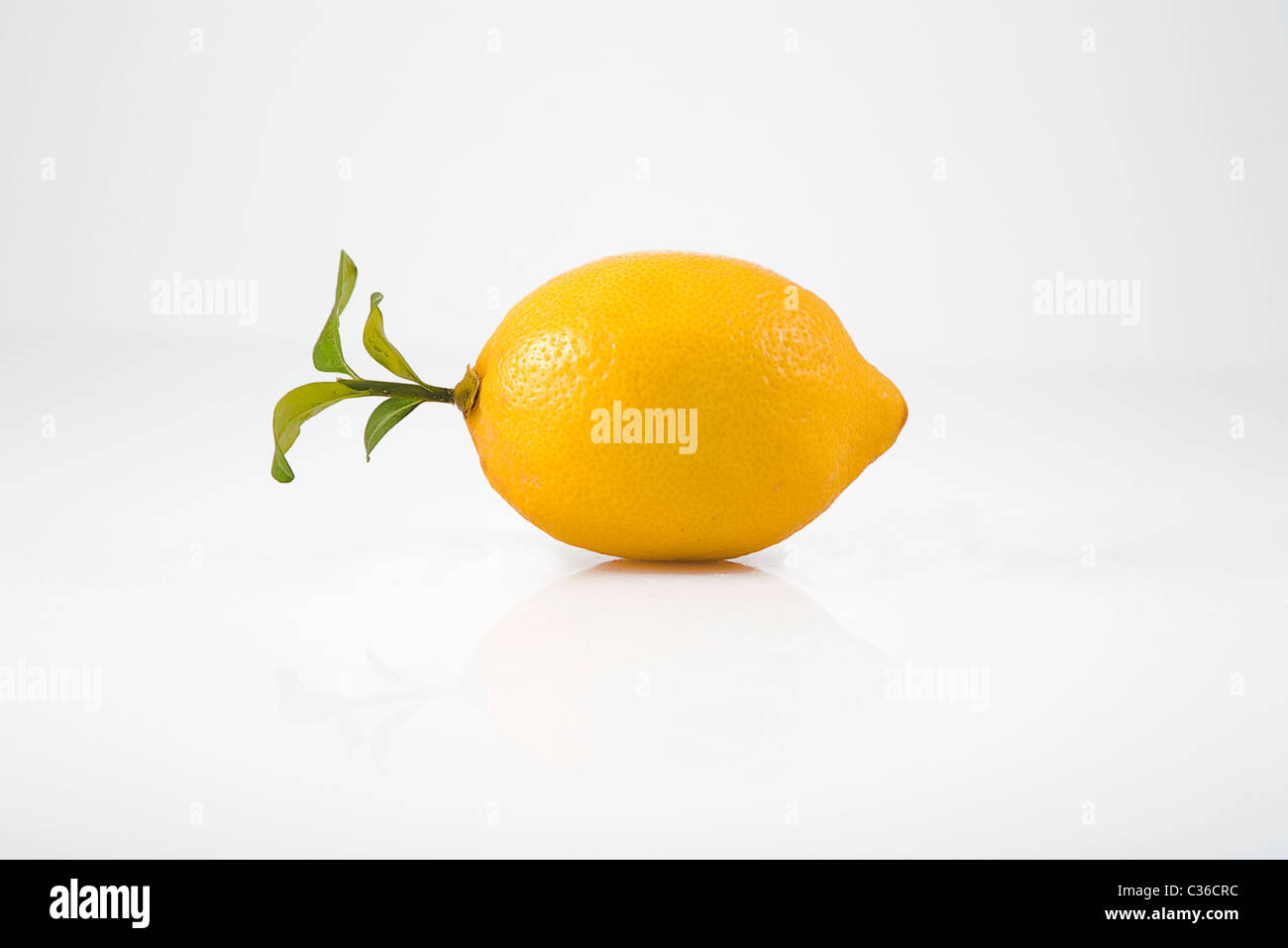 Yellow lemon citrus hi-res stock photography and images - Alamy