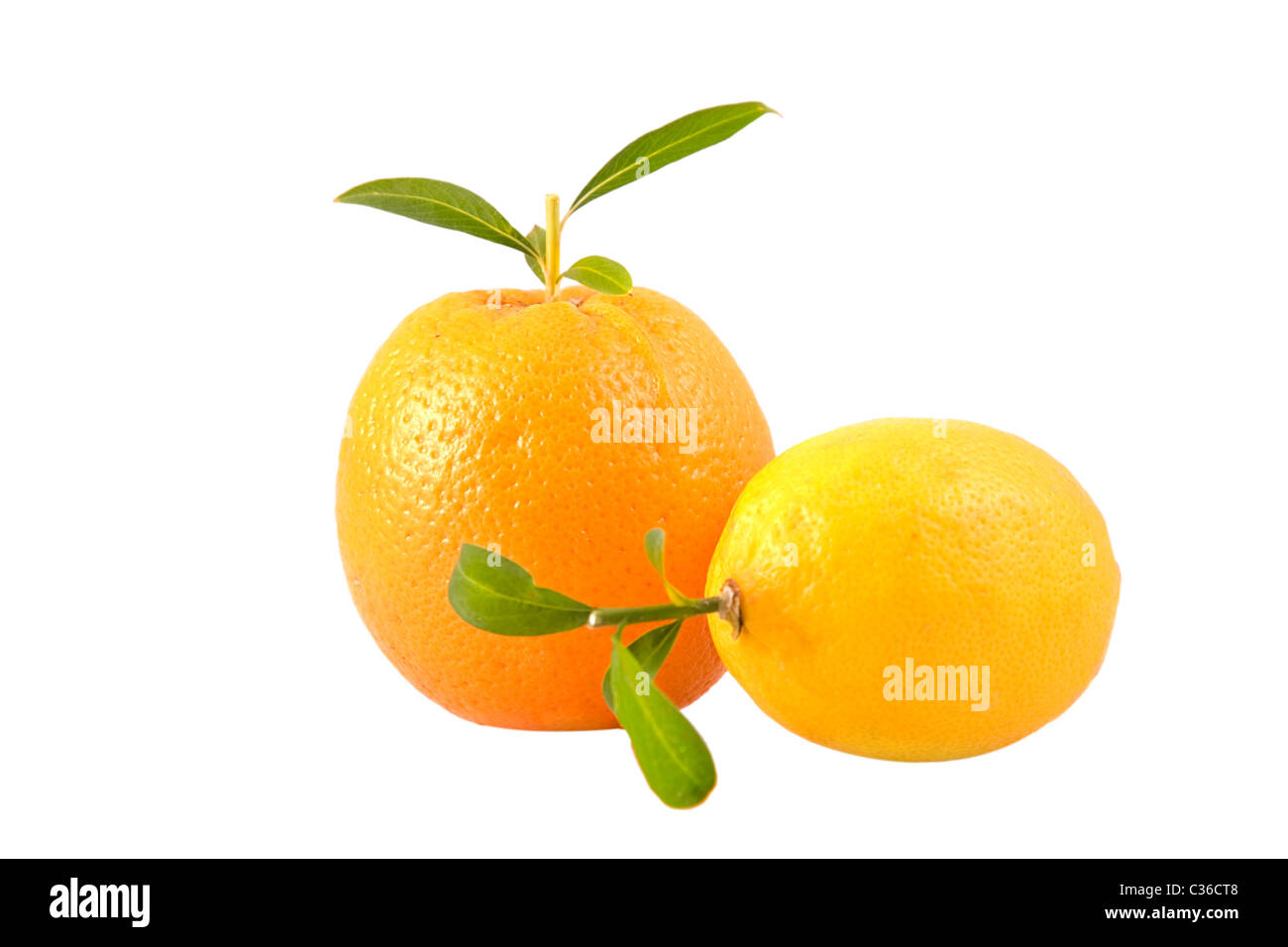 front view of fresh lemon and orange with leaves Stock Photo - Alamy