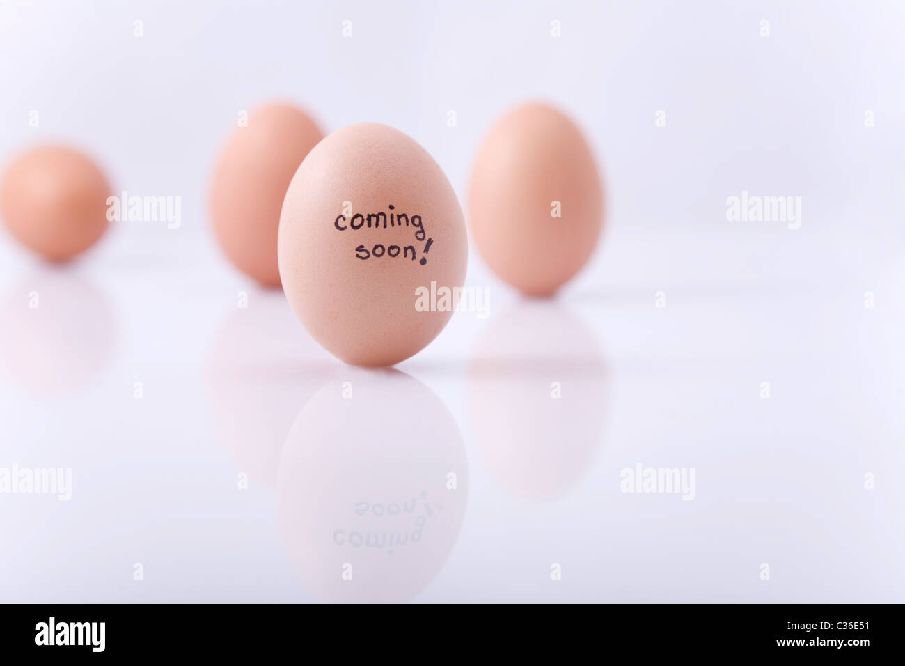 Written inside the shell hi-res stock photography and images - Alamy