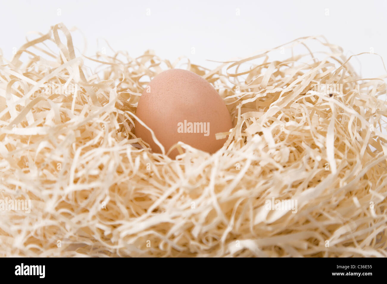 nest with egg inside on white background Stock Photo - Alamy