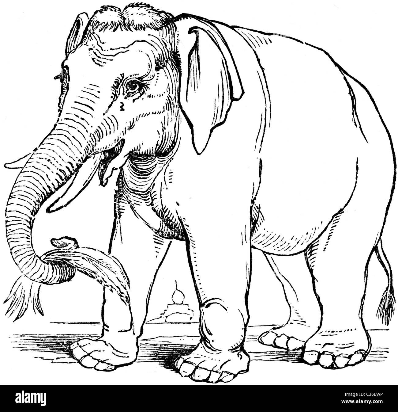 Indian illustration 9th century hi-res stock photography and images - Alamy