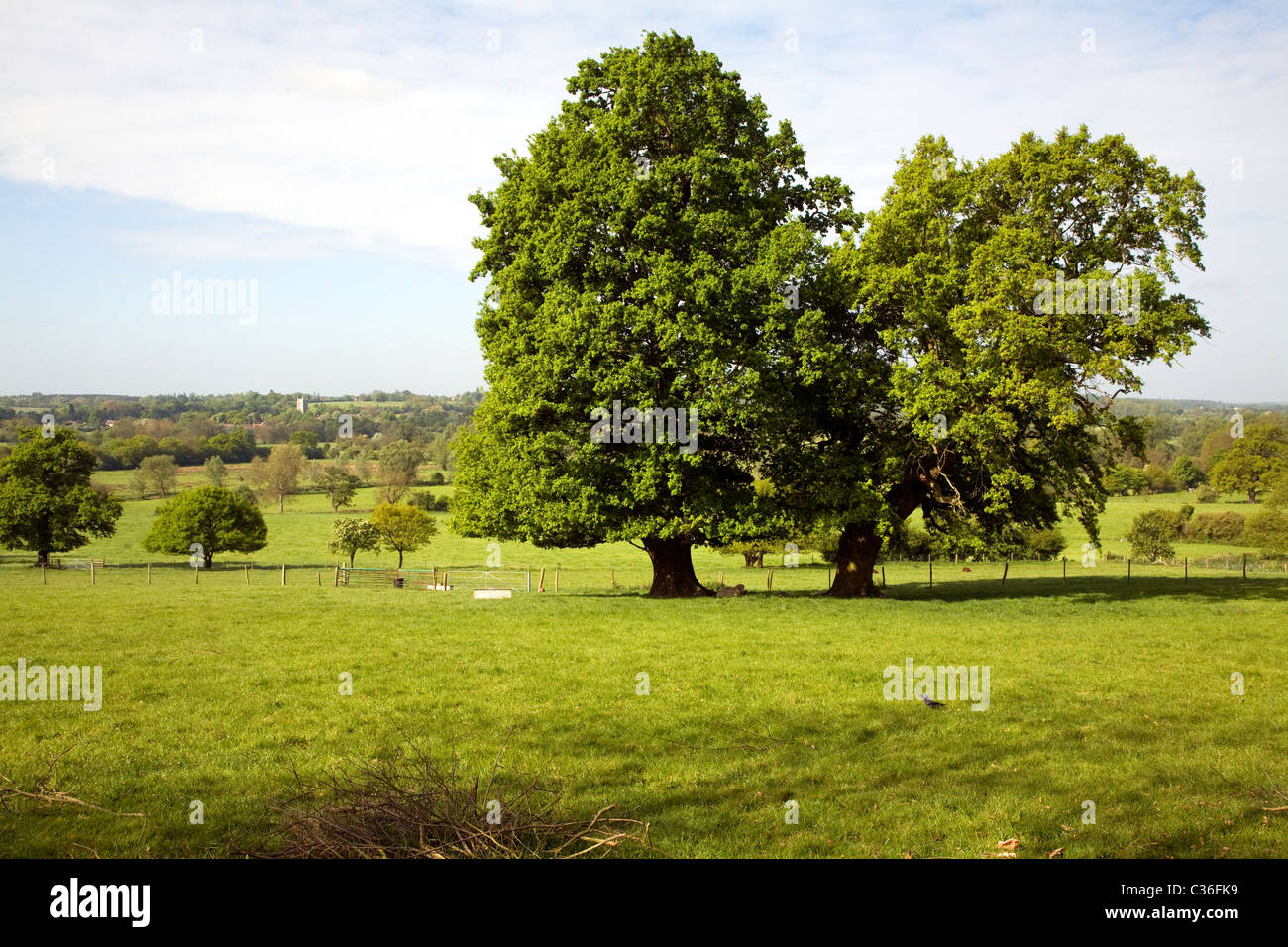 Dedham Vale river Stour valley view from Flatford Suffolk England Stock ...