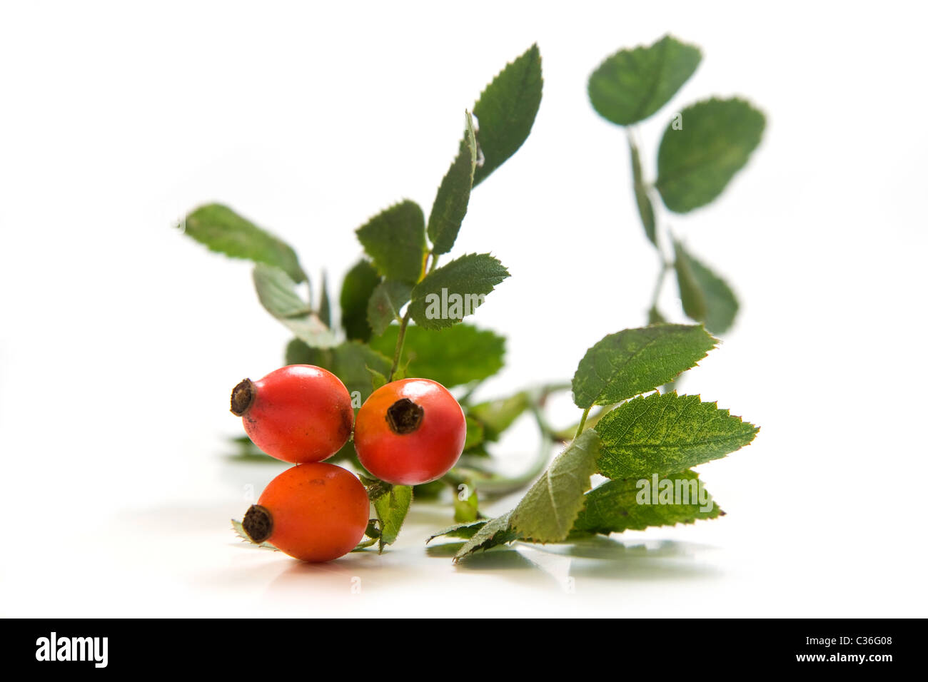 Rose hip recipe hi-res stock photography and images - Alamy