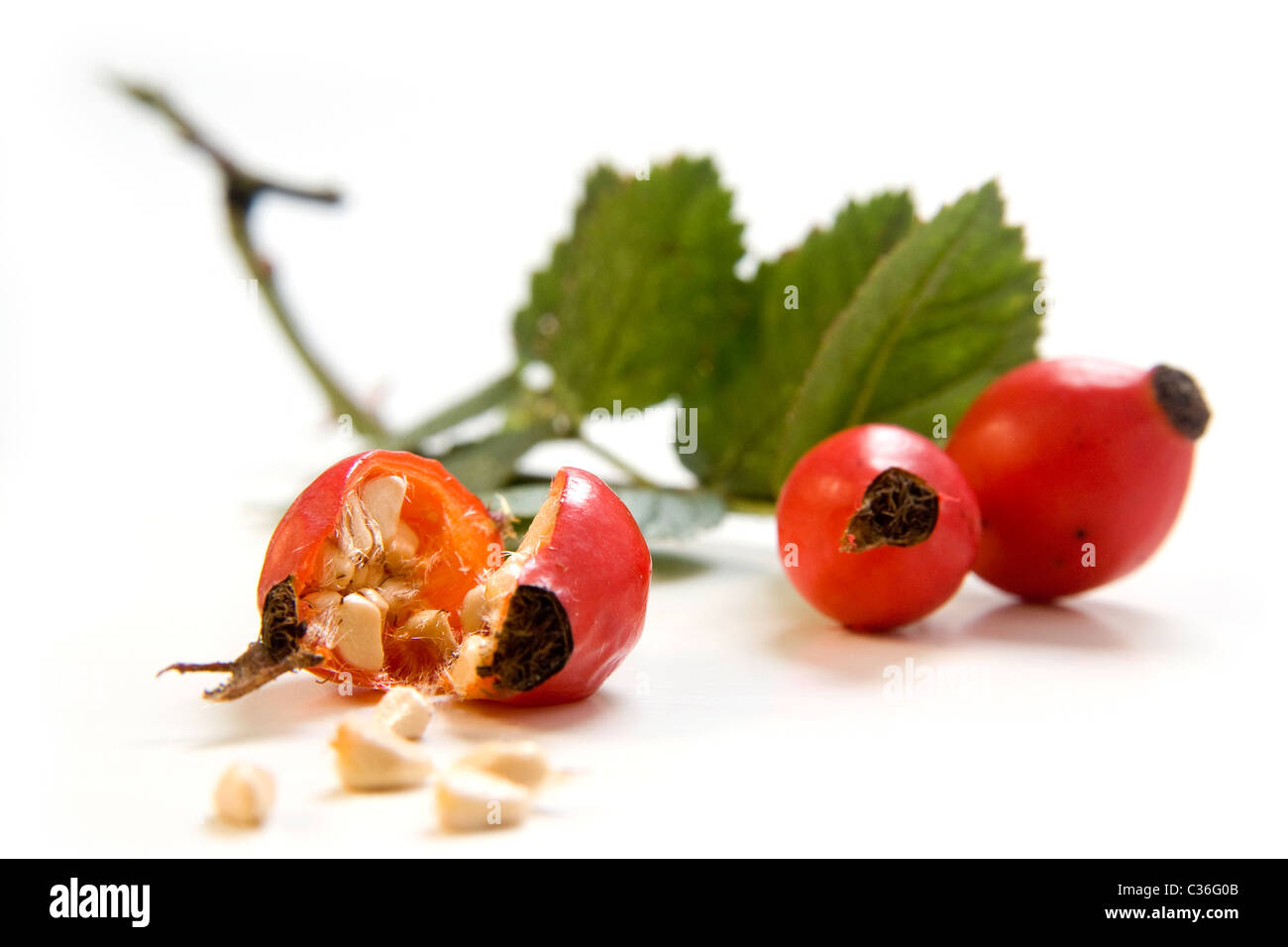 Rose hip with leaves Stock Photo - Alamy