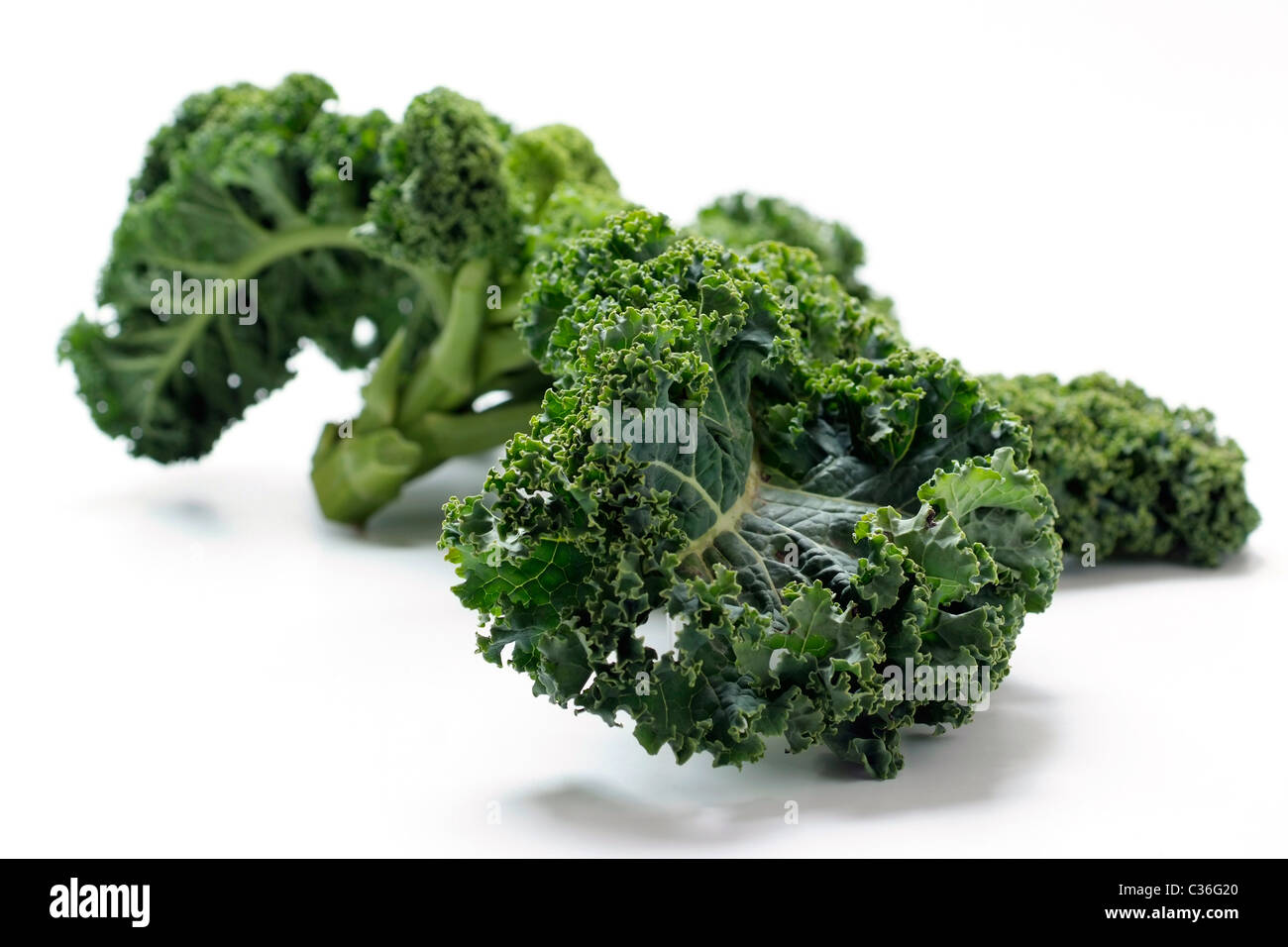 Cale winter hi-res stock photography and images - Alamy