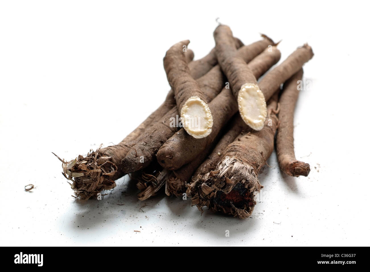 Raw black salsifies Stock Photo - Alamy