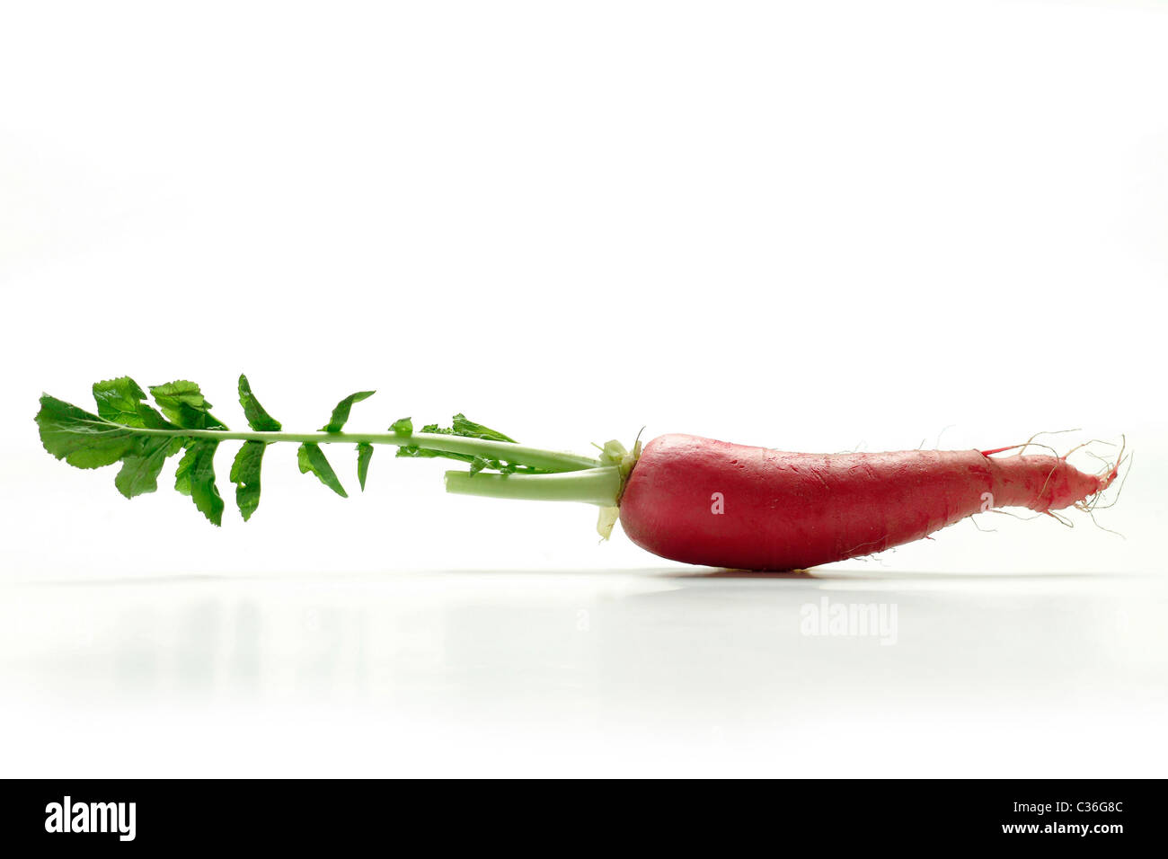 Single red radish with leaves on white Stock Photo - Alamy