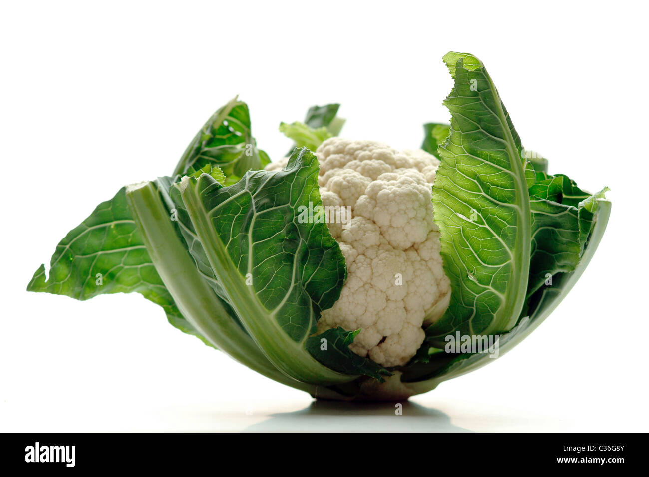 Single whole cauliflower with leaves on white Stock Photo - Alamy