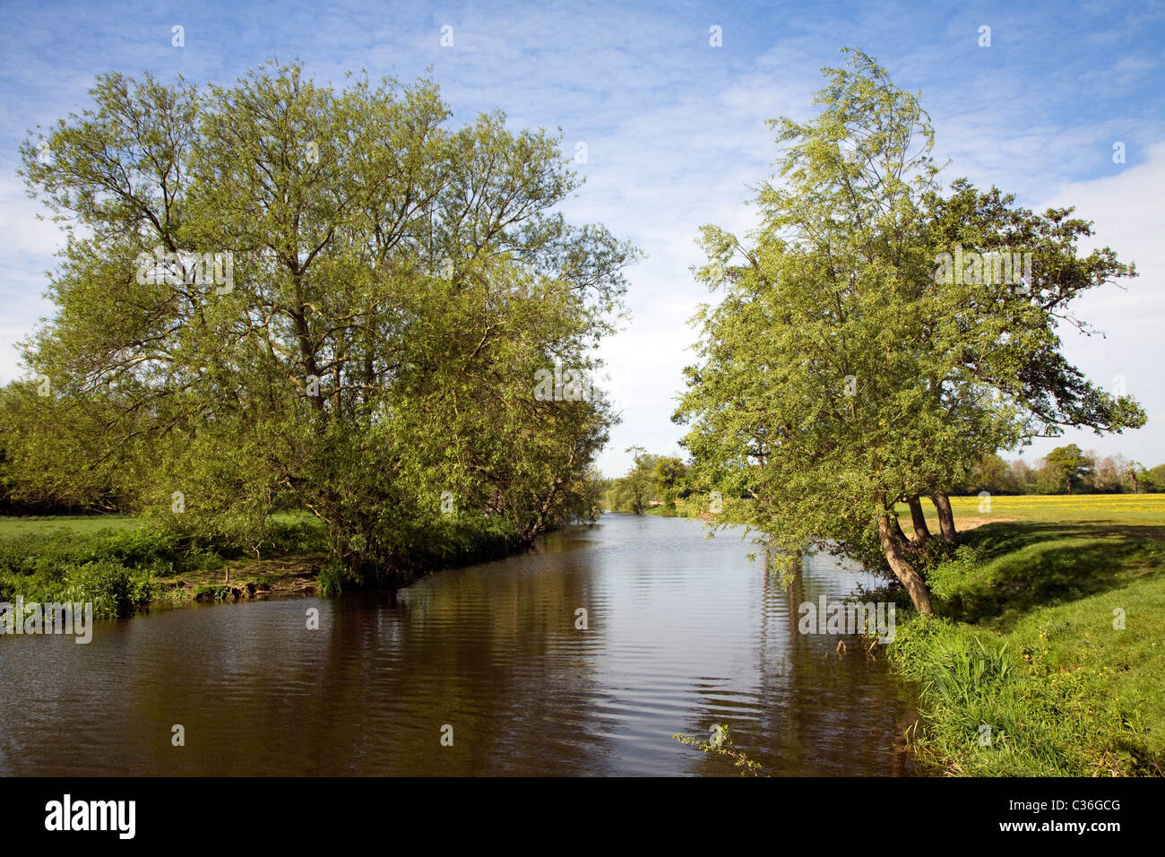 River Stour Dedham Vale Essex Suffolk border England Stock Photo - Alamy