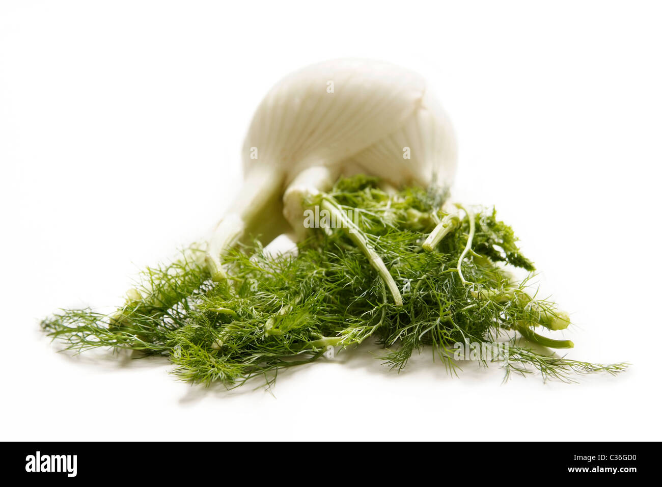 Fennel bulb hi-res stock photography and images - Alamy
