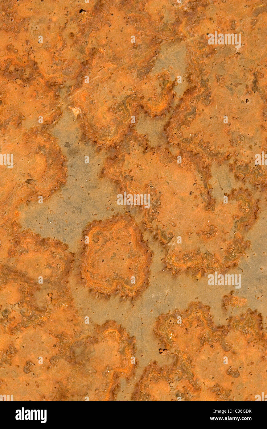 Detail of rusty metal, showing rust textures Stock Photo - Alamy