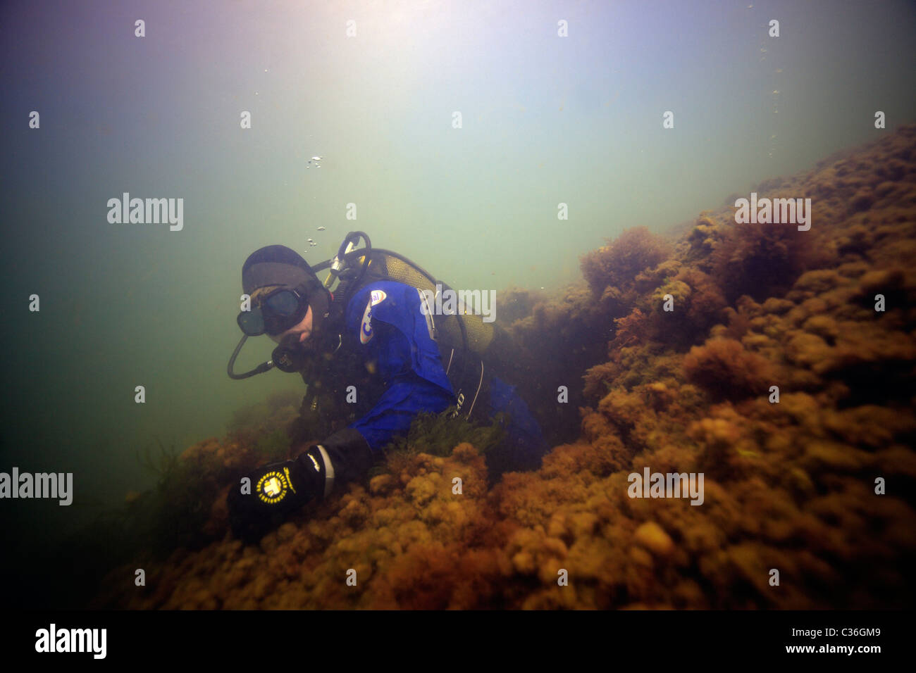 Scapa flow, orkney diving hi-res stock photography and images - Alamy