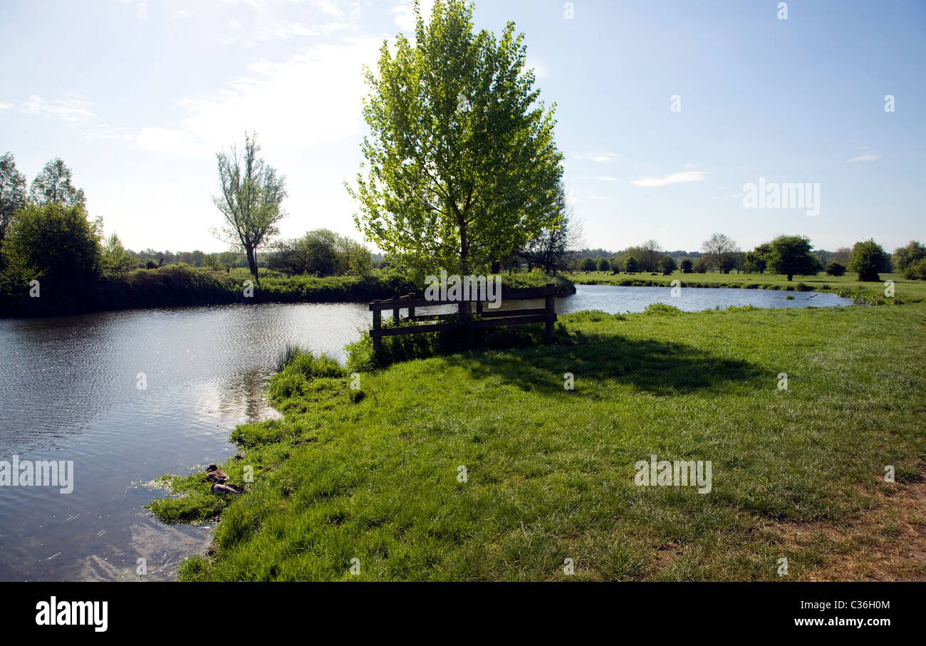 River Stour Dedham Vale Essex Suffolk border England Stock Photo - Alamy