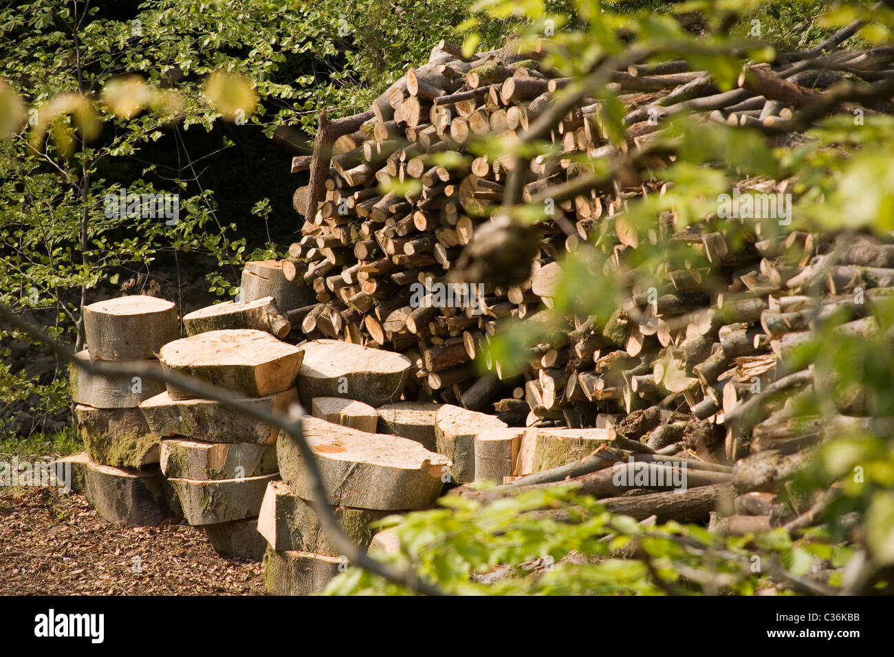 Fire wood formation hi-res stock photography and images - Alamy