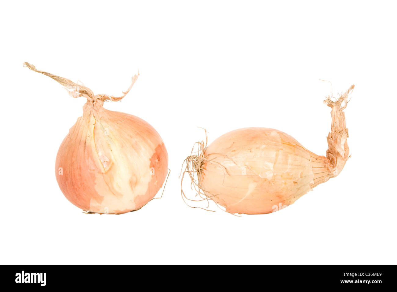 front view of two brown onions on white background Stock Photo - Alamy