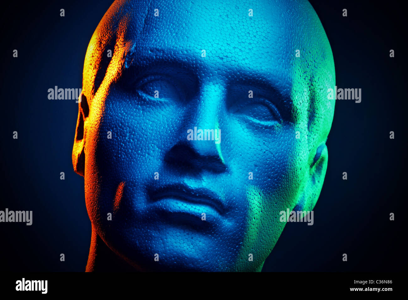 Polystyrene head hi-res stock photography and images - Alamy