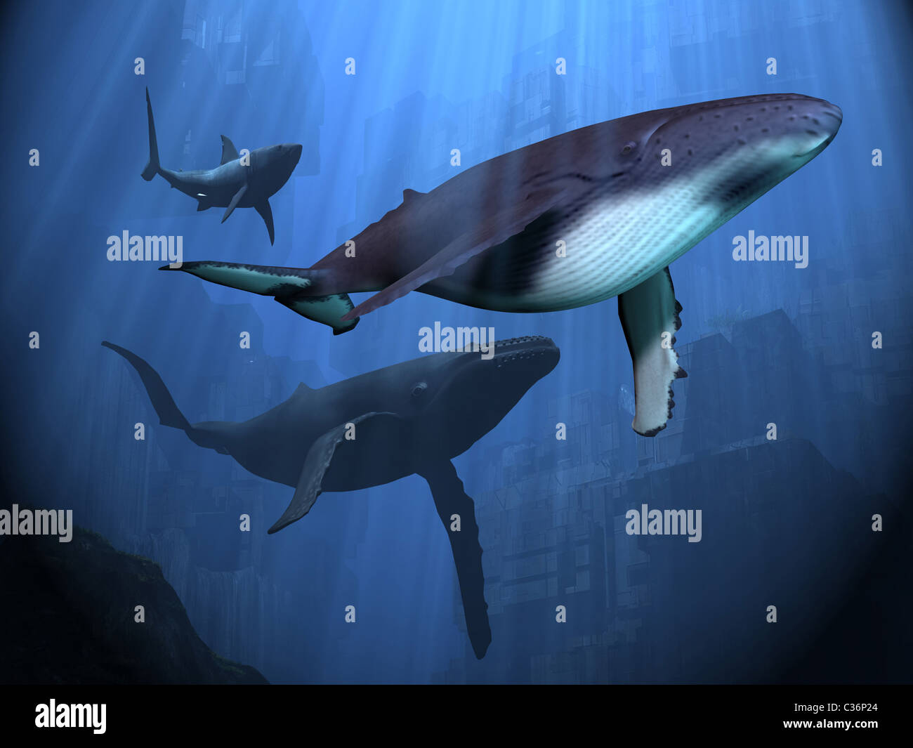 Two Humpback whales and a shark swim among ancient city ruins Stock ...
