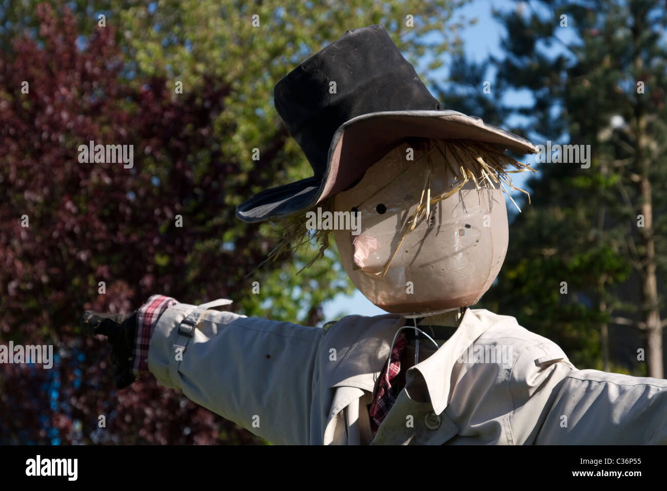 Close-up of head The Wray Annual Scarecrow and Village Festival ...