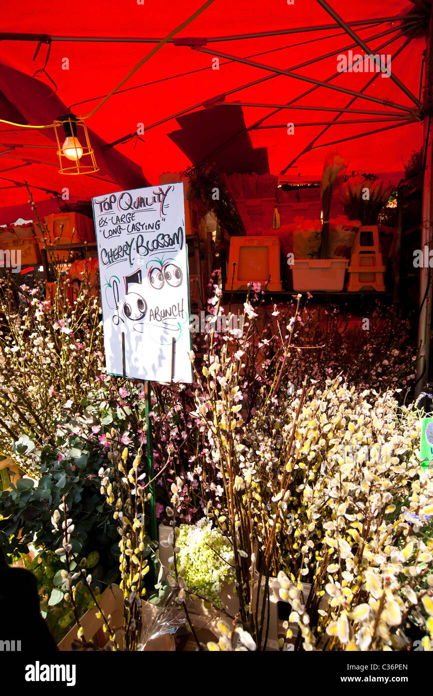 Columbia Road Flower market in the East end of London Stock Photo - Alamy