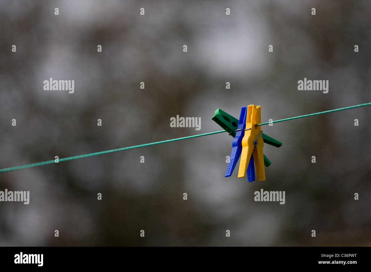 clothes peg on a string Stock Photo - Alamy