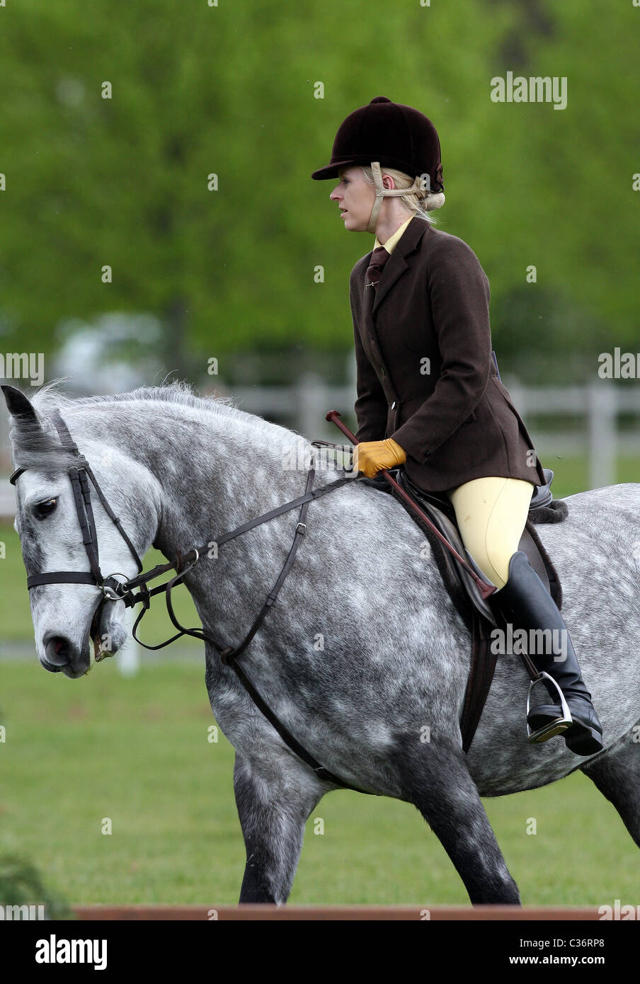 Horse and Rider competing at a Equestrian Show Event in England Stock ...