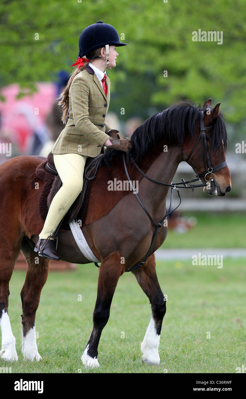 Horse and Rider competing at a Equestrian Show Event in England Stock ...