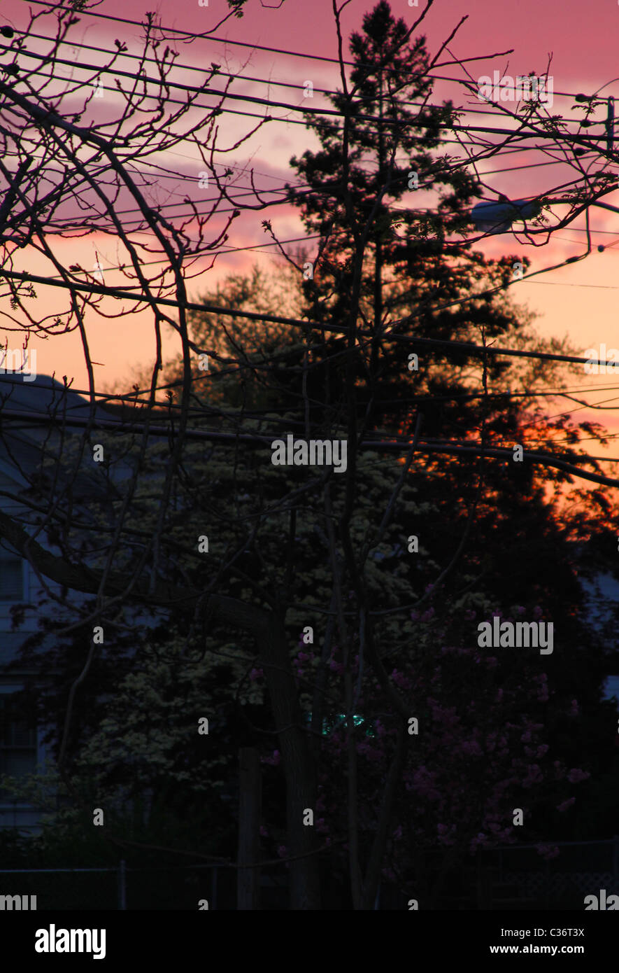 Suburban Spring Sunset Stock Photo - Alamy