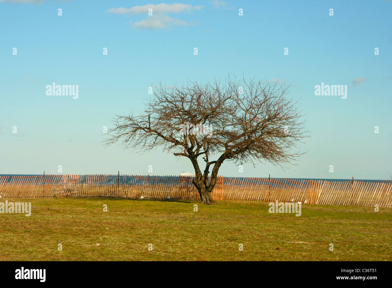Staten island hi-res stock photography and images - Alamy