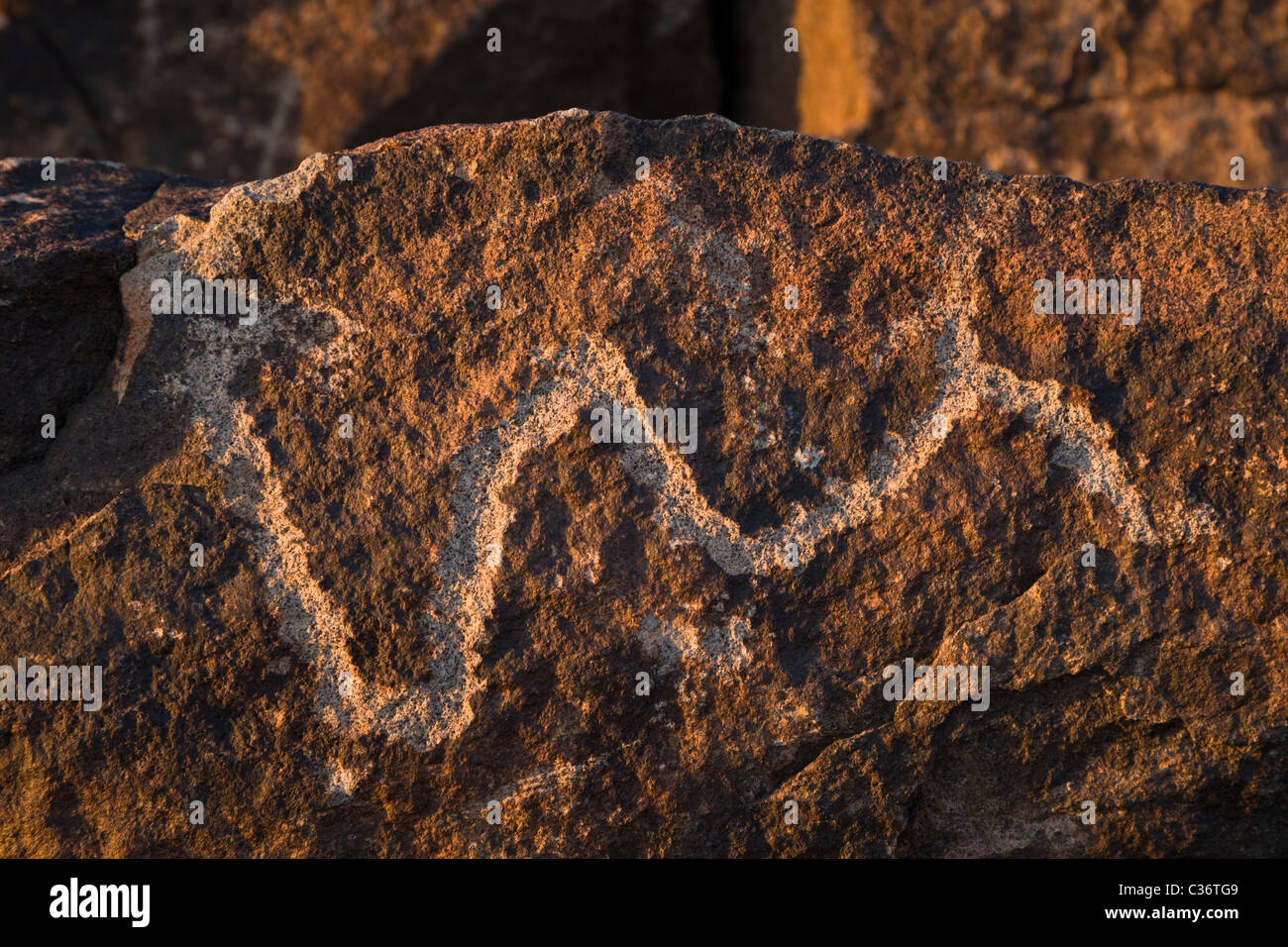 Petroglyph snake hi-res stock photography and images - Alamy