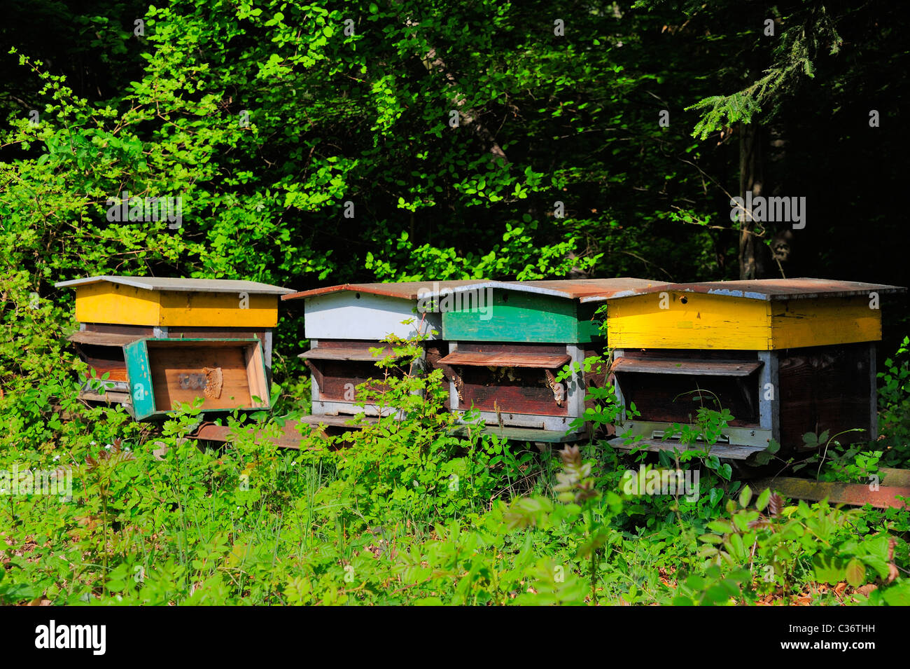 Beehive beehives hives disused derelict hi-res stock photography and ...