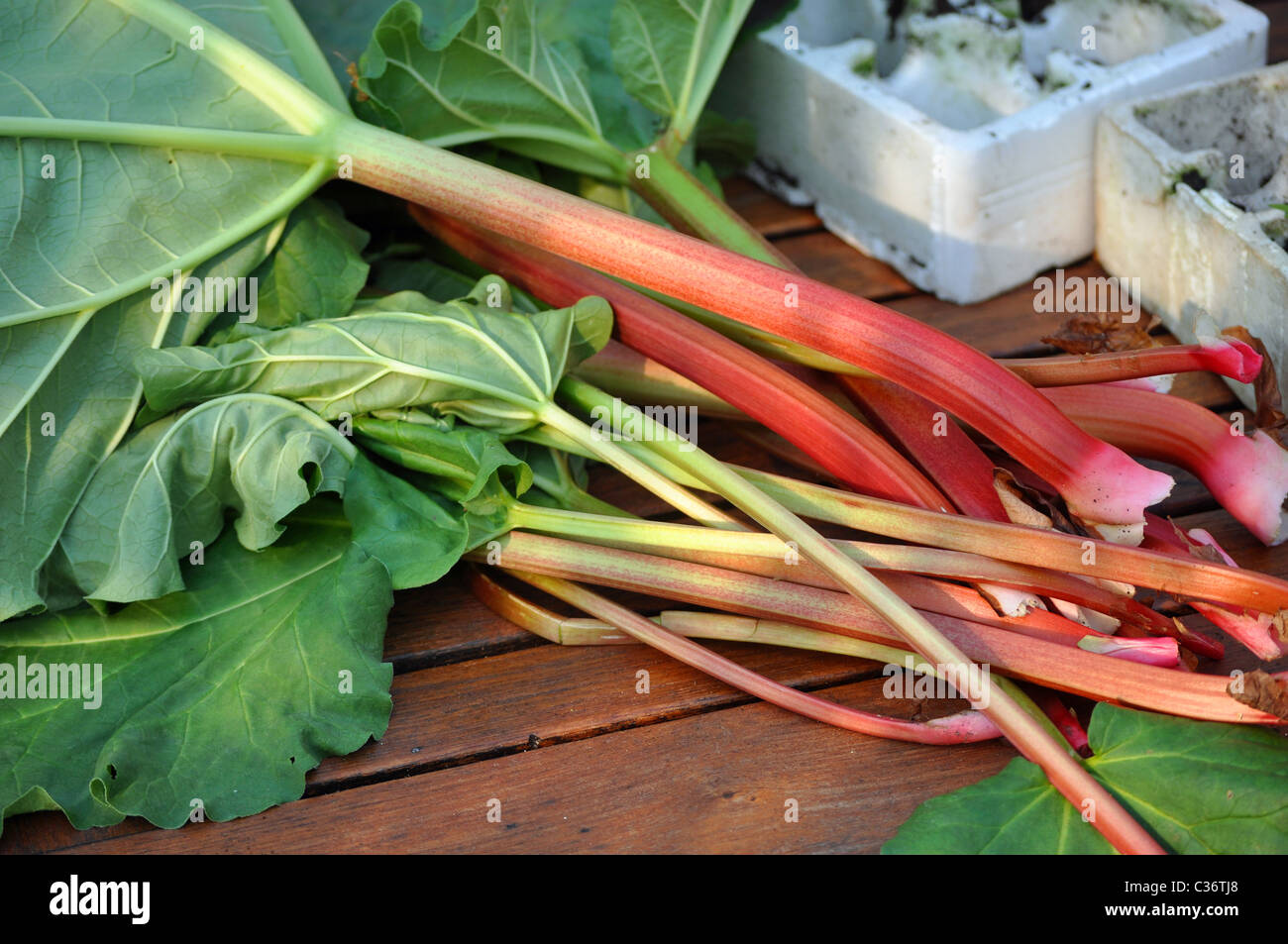 Rhubarb sticks hi-res stock photography and images - Alamy