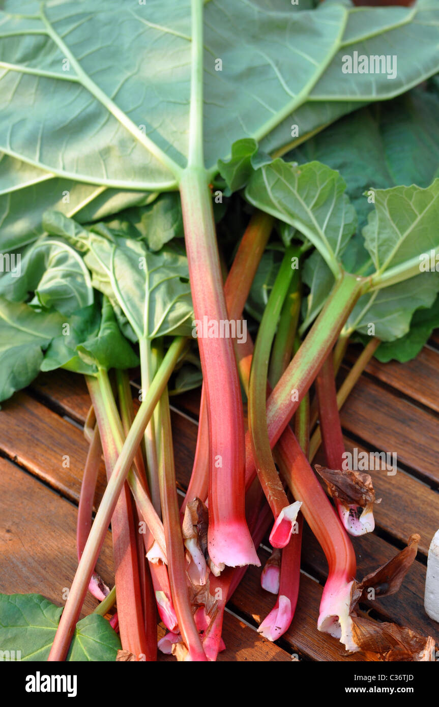 Sticks of rhubarb Stock Photo - Alamy