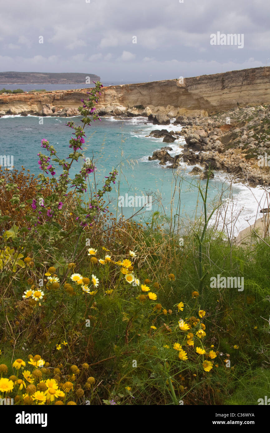 marfa ridge walk isle of malta Stock Photo - Alamy