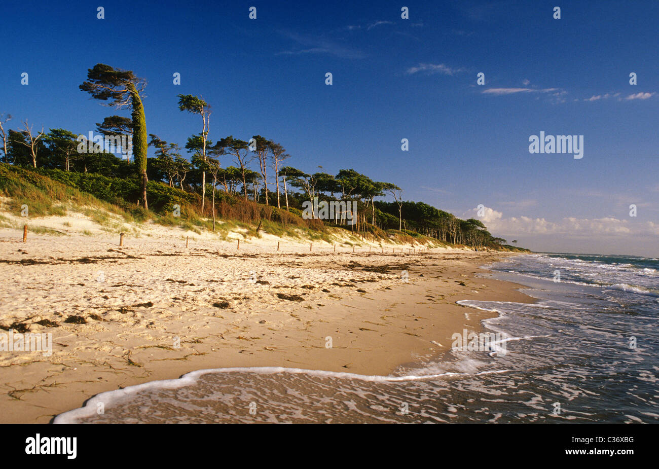 The baltic sea beach near prerow hi-res stock photography and images ...