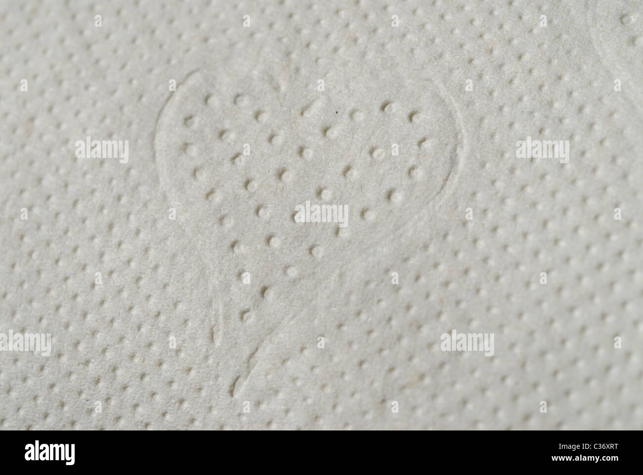 Kitchen and toilet roll hi-res stock photography and images - Alamy