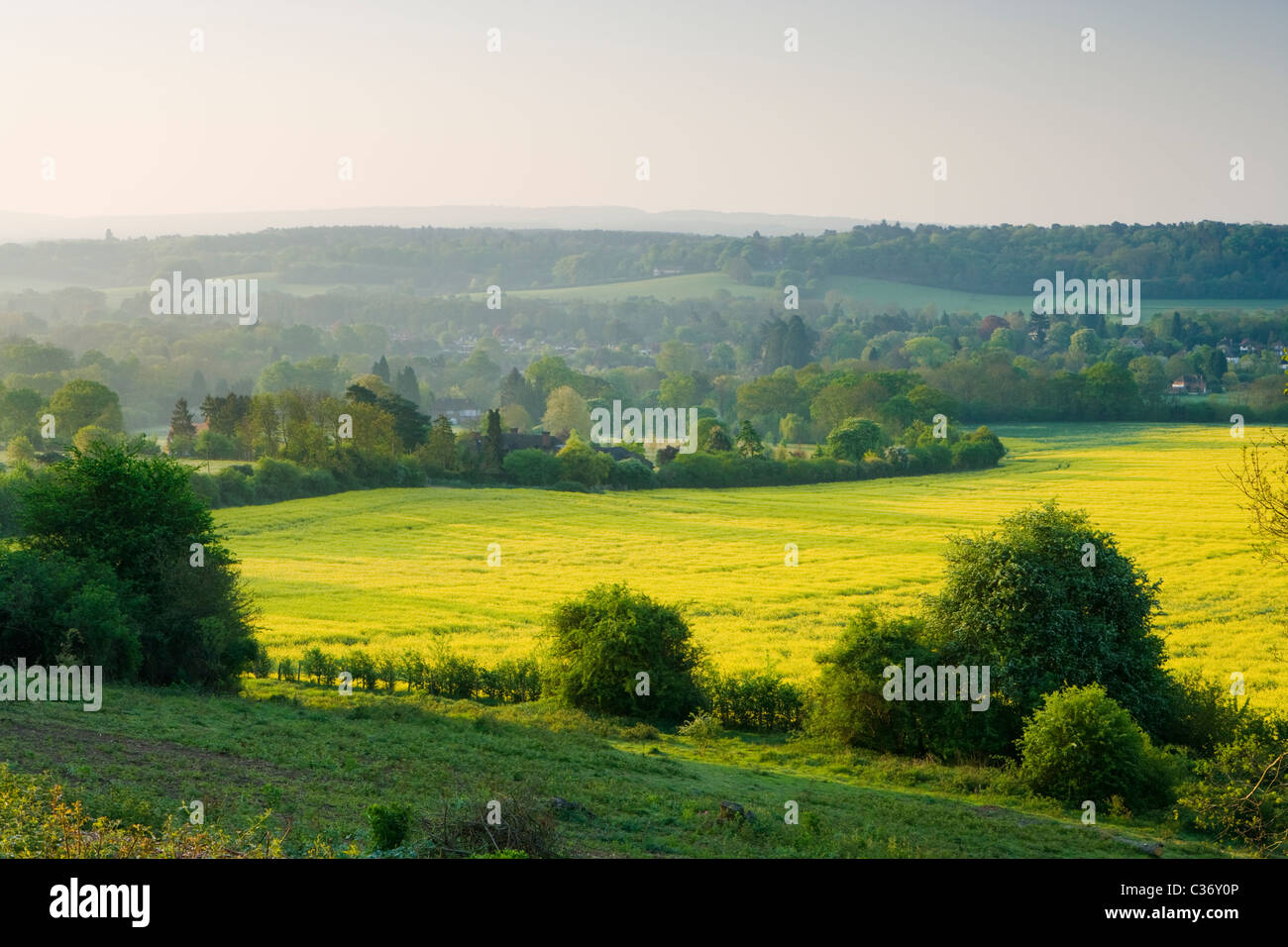 Countryside at Chilworth, Surrey, UK Stock Photo - Alamy