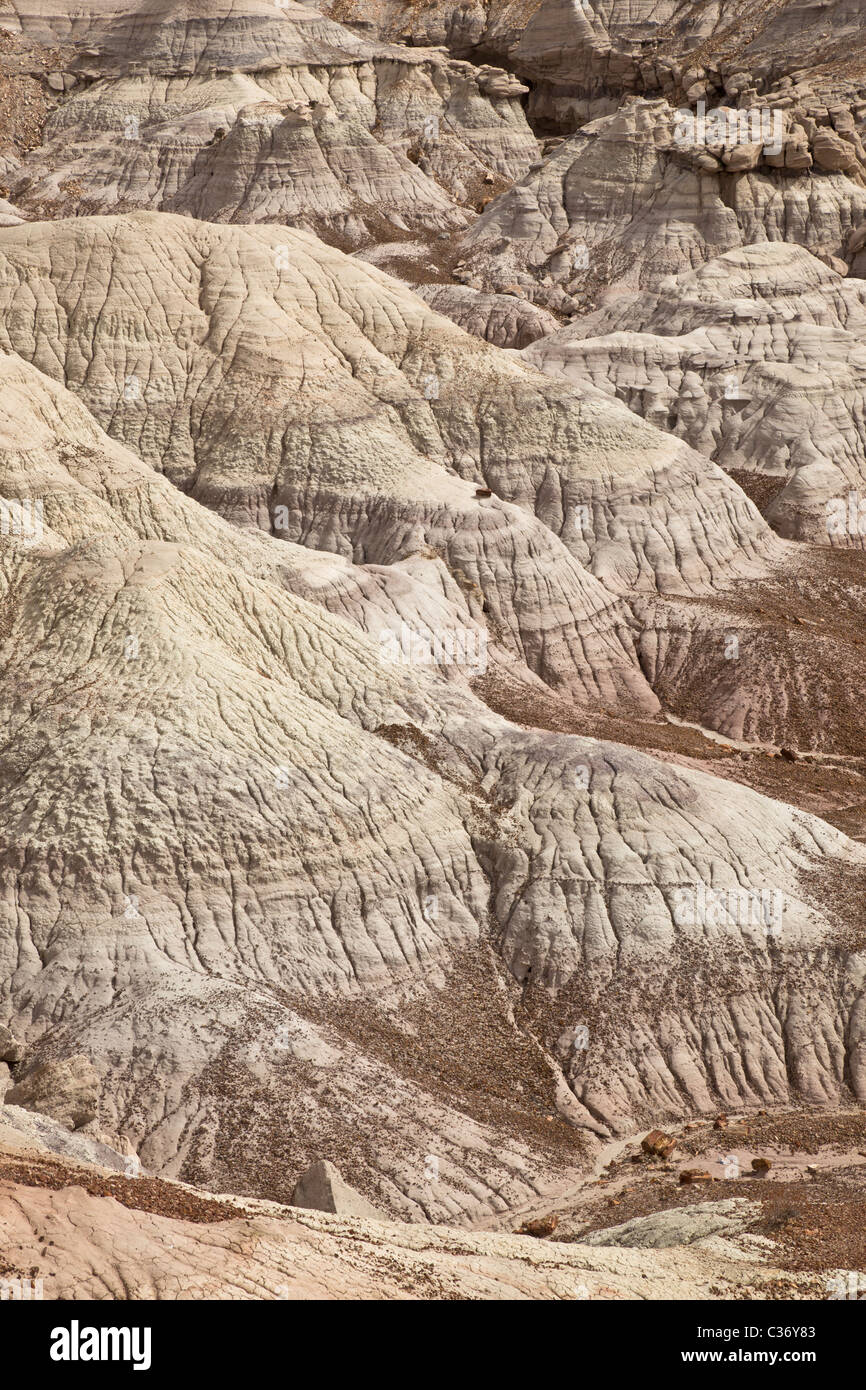 Badlands in the Petrified Forest National Park, Arizona, USA Stock ...