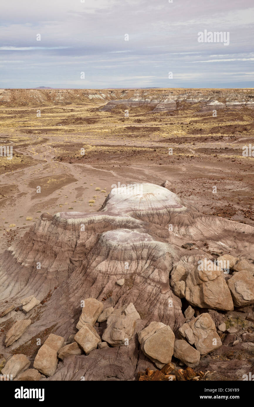 Badlands with in the Petrified Forest National Park, Arizona, USA Stock ...