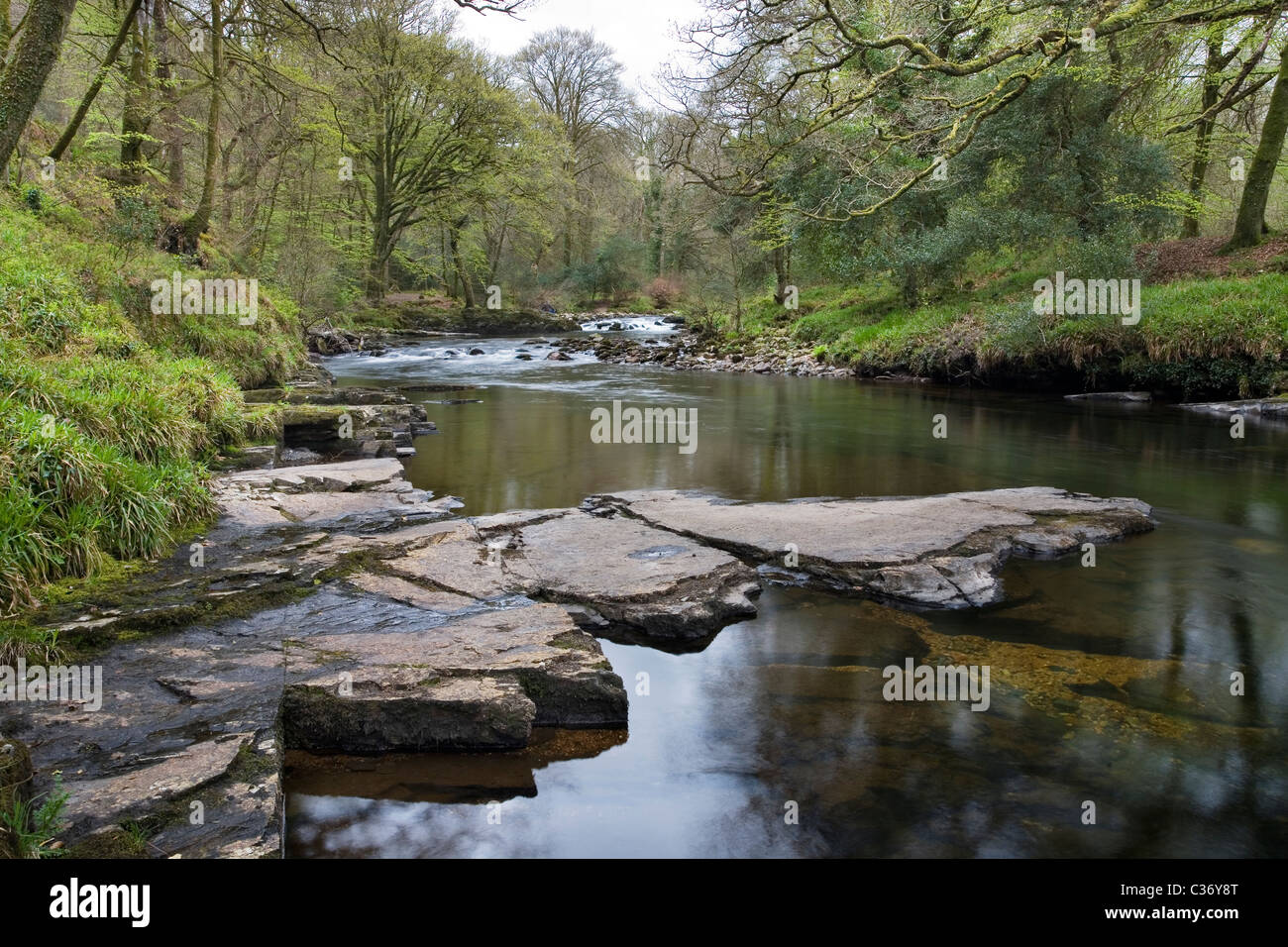 The River Dart just south of New Bridge near Ashburton on Dartmoor ...