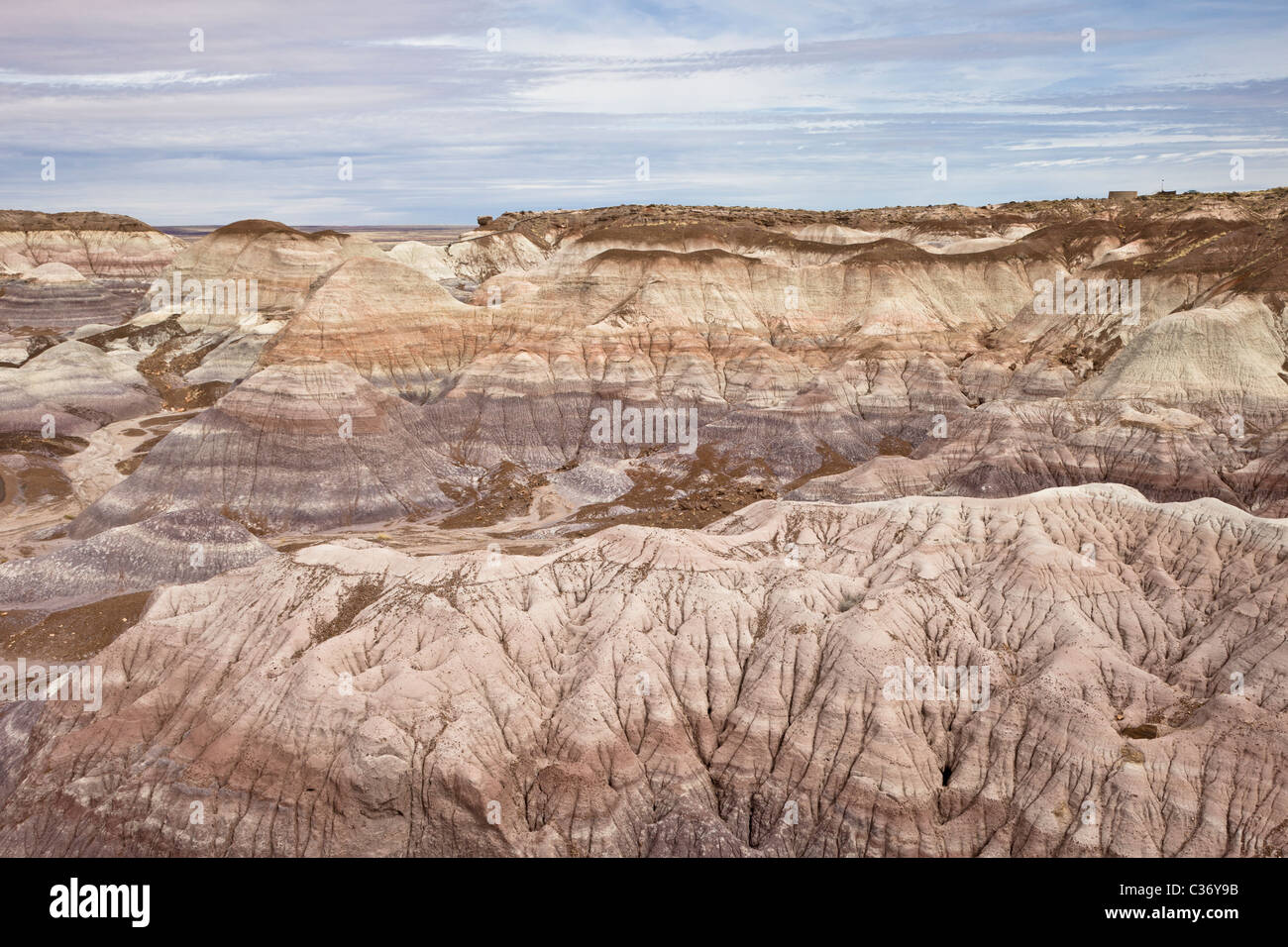 Eroding sedimentary layers form a striking pattern at the Blue Mesa in ...