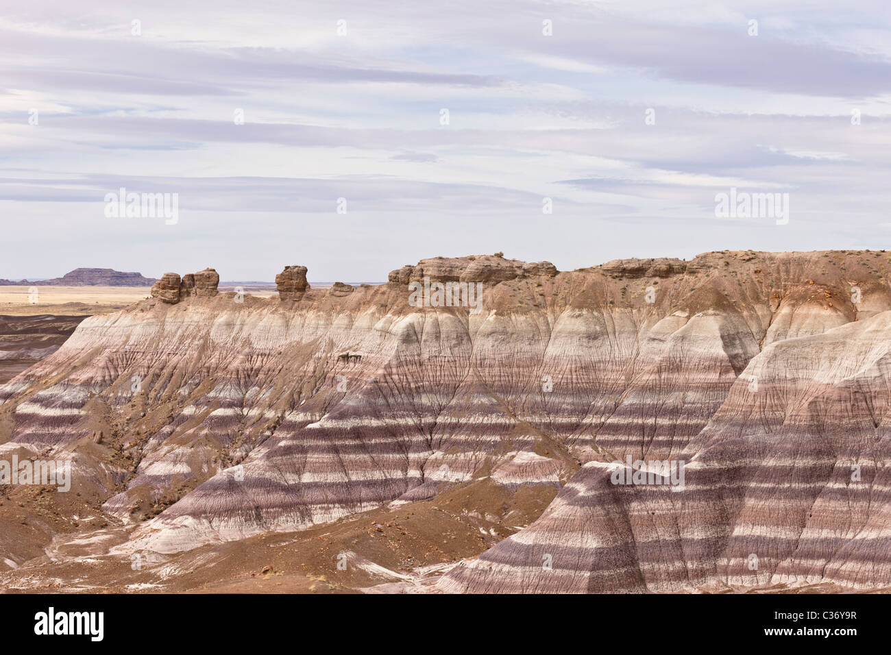 Eroding sedimentary layers form a striking pattern at the Blue Mesa in ...