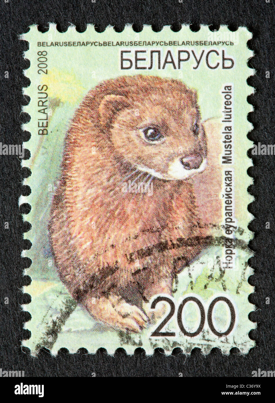 Belarus Postage Stamp High Resolution Stock Photography and Images - Alamy