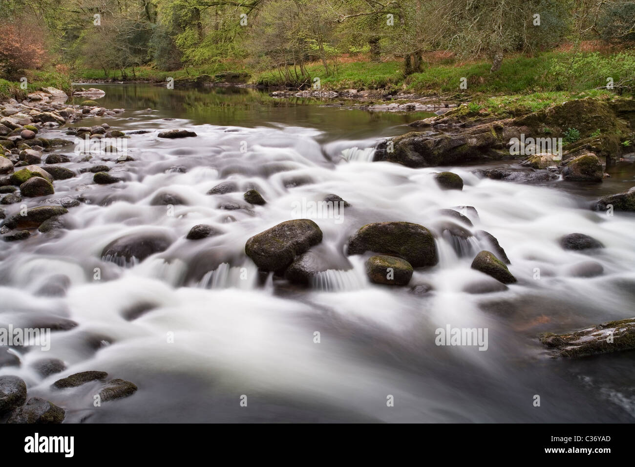 The River Dart just south of New Bridge near Ashburton on Dartmoor ...