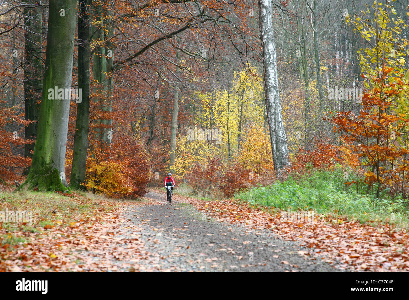 Mountain bike in denmark Stock Photo - Alamy