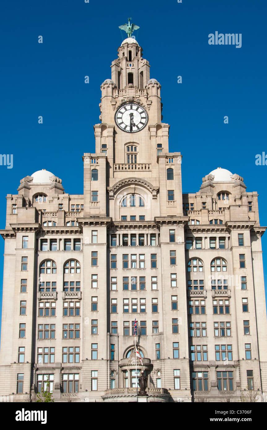 Royal liver building close hi-res stock photography and images - Alamy