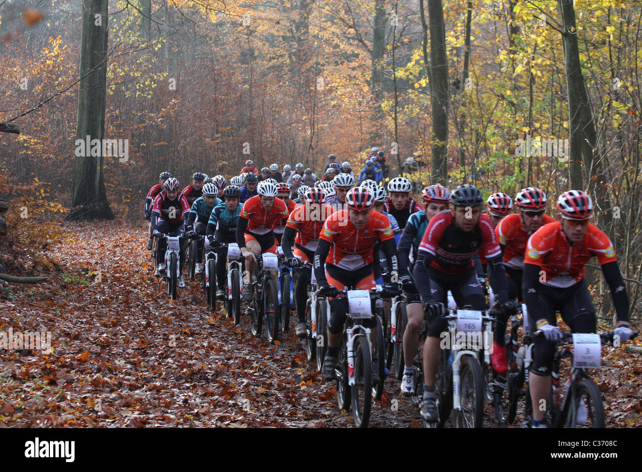 Mountain bike in denmark Stock Photo - Alamy
