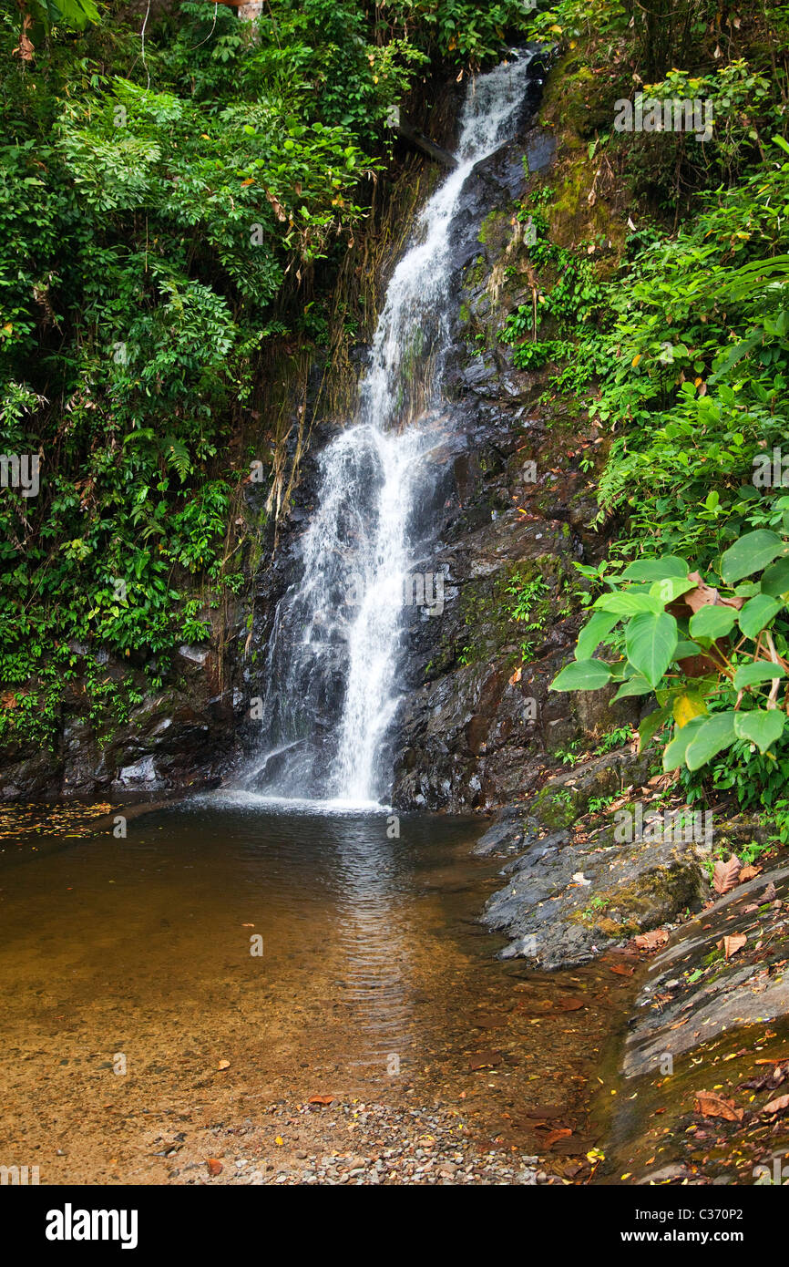Durian Perangin Waterfall, Langkawi Stock Photo - Alamy