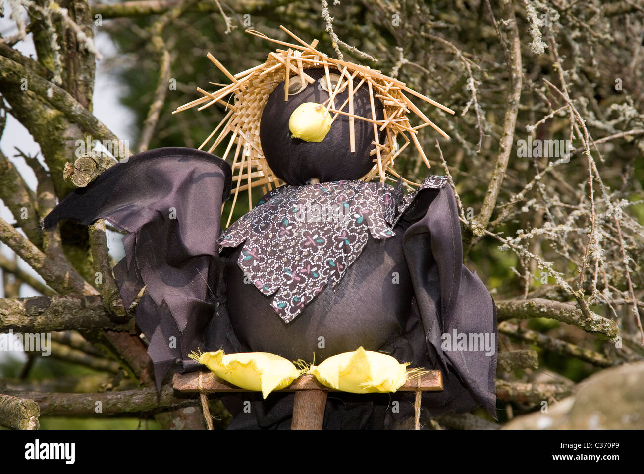 Wray village scarecrow festival hi-res stock photography and images - Alamy