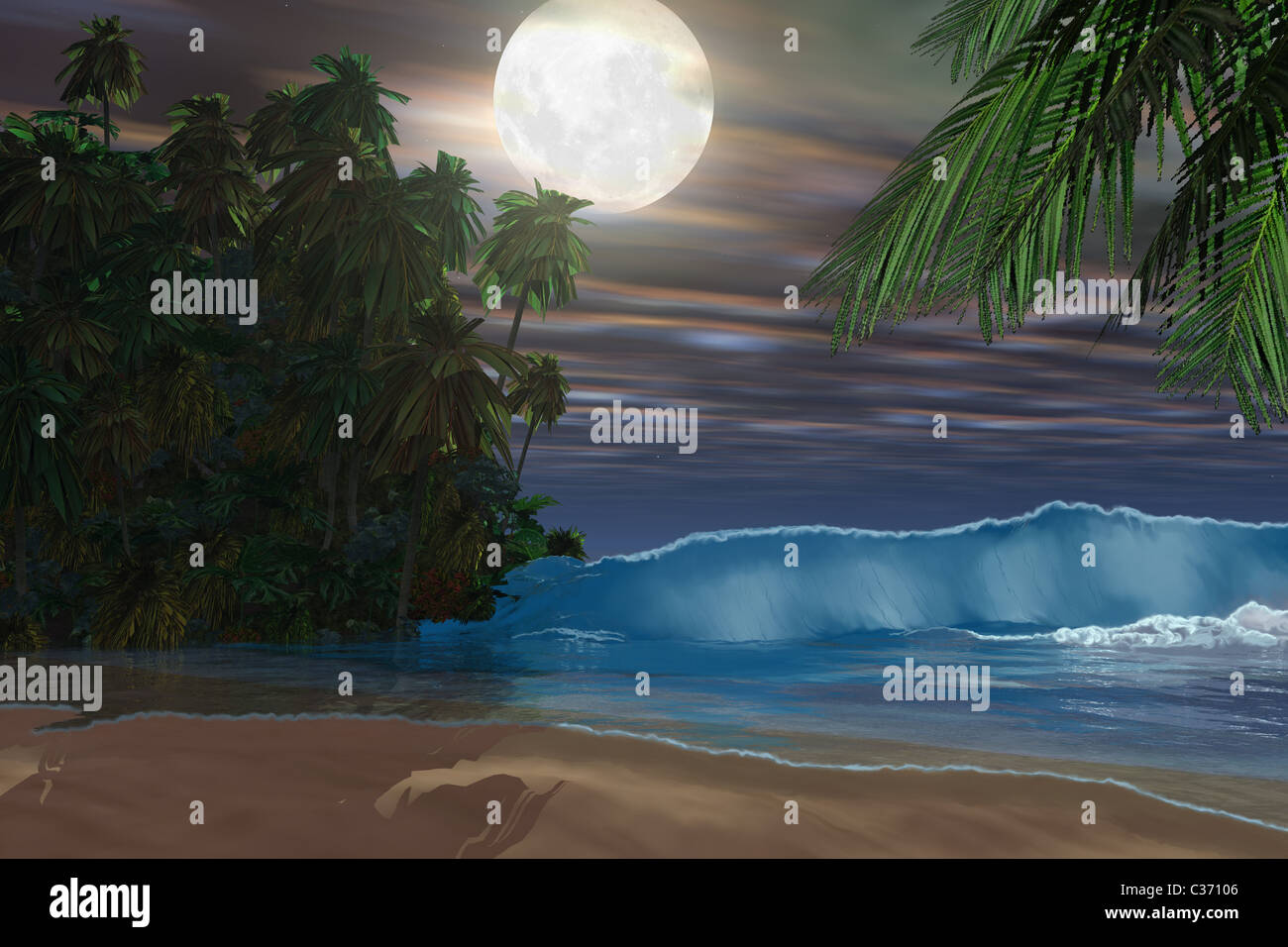 Moonlight shines down on this gorgeous beach during the night of the ...