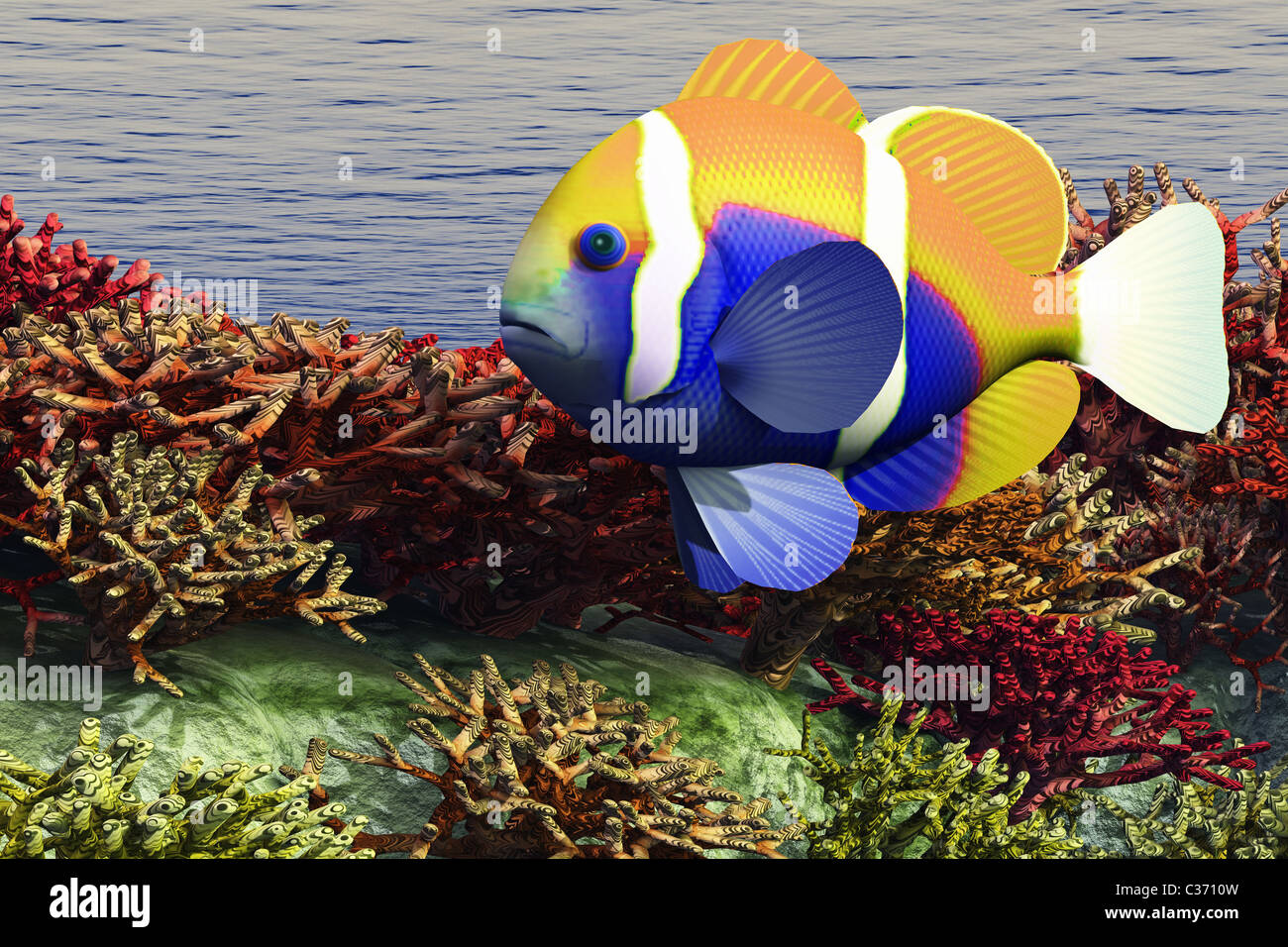 A colorful clown-fish swims among the corals of an ocean reef Stock ...